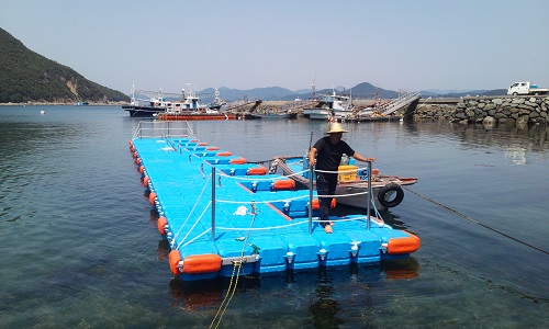 Dermaga Apung, Next Float, Kubus Apung Ramah LingkunganTitian Nusantara ...